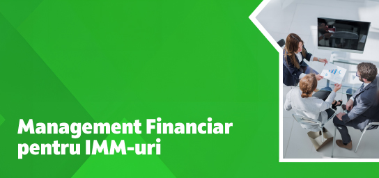 Management Financiar pentru IMM-uri
